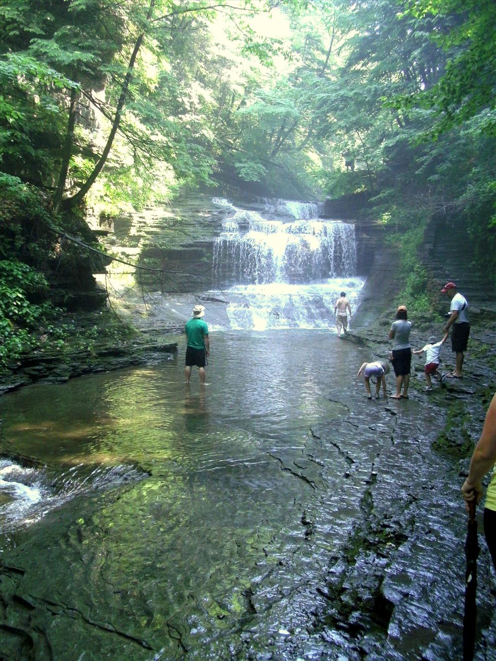 Cornell Landscape Architecture 1980