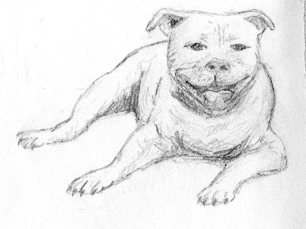 Wanderings: staffy sketches