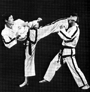Soo Shim Kwan 水心館수심관: Confusing Terminology: Crescent Kick, Vertical ...