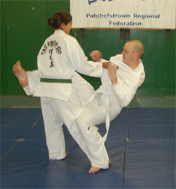 Soo Shim Kwan 水心館수심관: The Front Breakfall and Back Breakfall