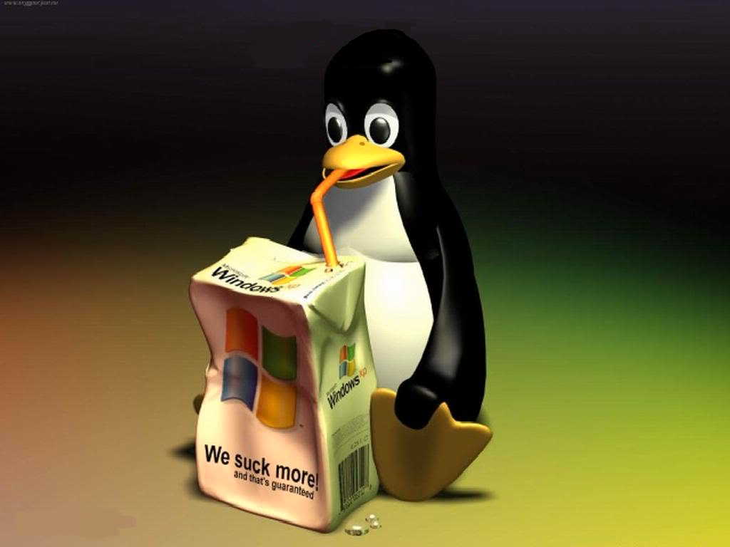 Funny Linux Comic Strips and Cartoons | INFOTHUSIAST