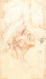 The Garden of Unearthly Delights: 25 Grotesque Faces from Leonardo