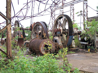 Waldo in Suriname: Waldo's World-Wide Travel Service