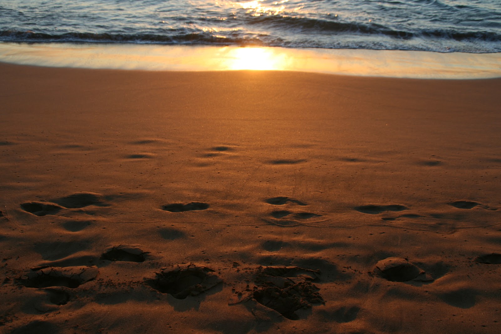 The Mr. Hunter Wall: Where in the world is Mr. Hunter? The answer: hula ...