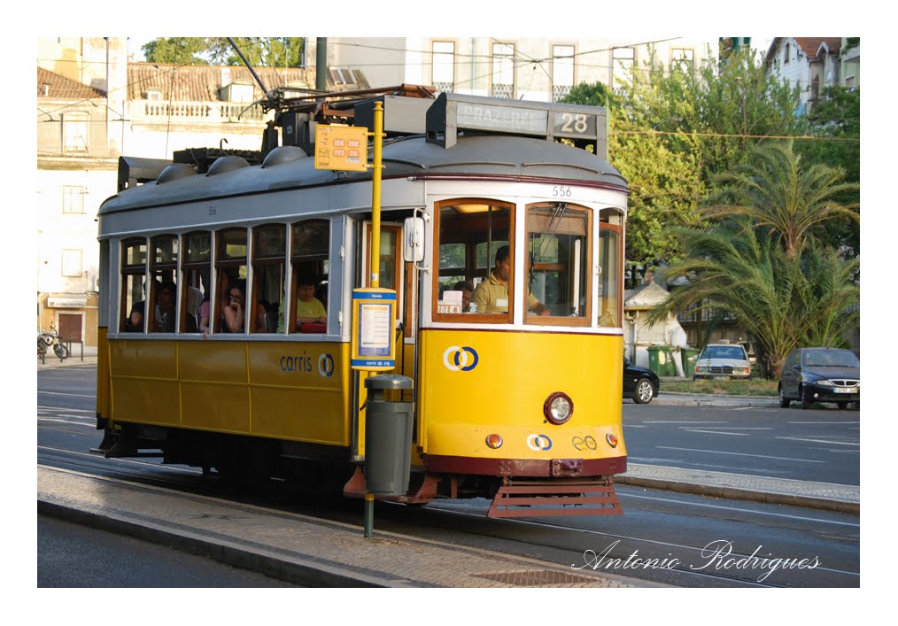 Antonio Rodrigues - Fotografia: O 28 da Carris