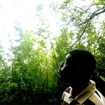 Beat-Hop: Flying Lotus Discografia