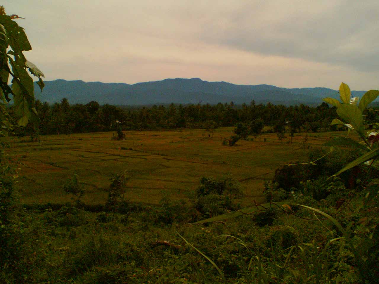Serawai: Alam Serawai (Manna, Bengkulu Selatan)