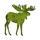 Green Moose: Green Moose's Web is up