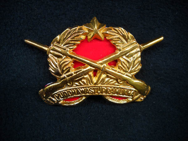 KOLEKSI MILITER JADOEL: Brevet,Wing & Patch TNI