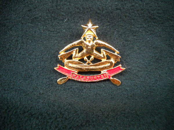 KOLEKSI MILITER JADOEL: Brevet,Wing & Patch TNI