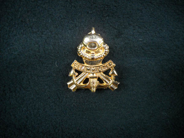 KOLEKSI MILITER JADOEL: Brevet,Wing & Patch TNI