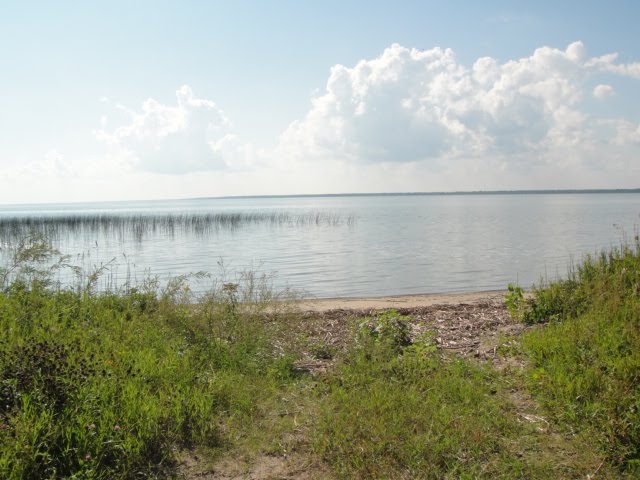 Curious Cat: Ponemah, MN