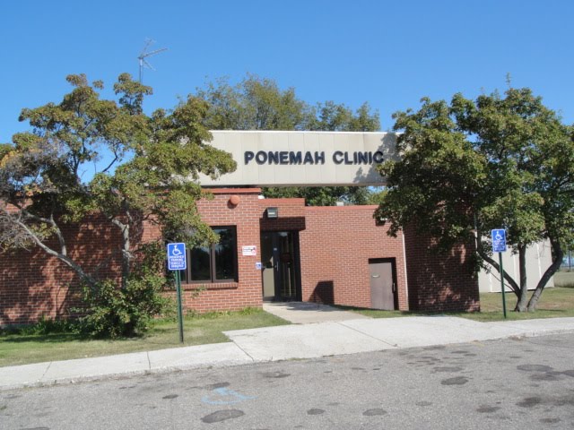 Curious Cat: Ponemah, MN