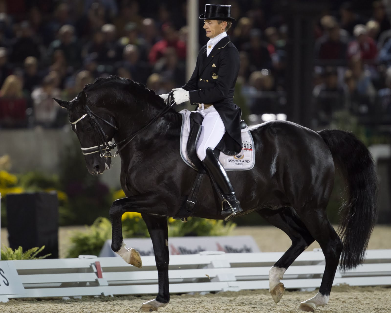 From Racehorse to Showhorse: Dressage Freestyle Finals