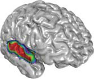 Perception Unearthed: Order from Chaos