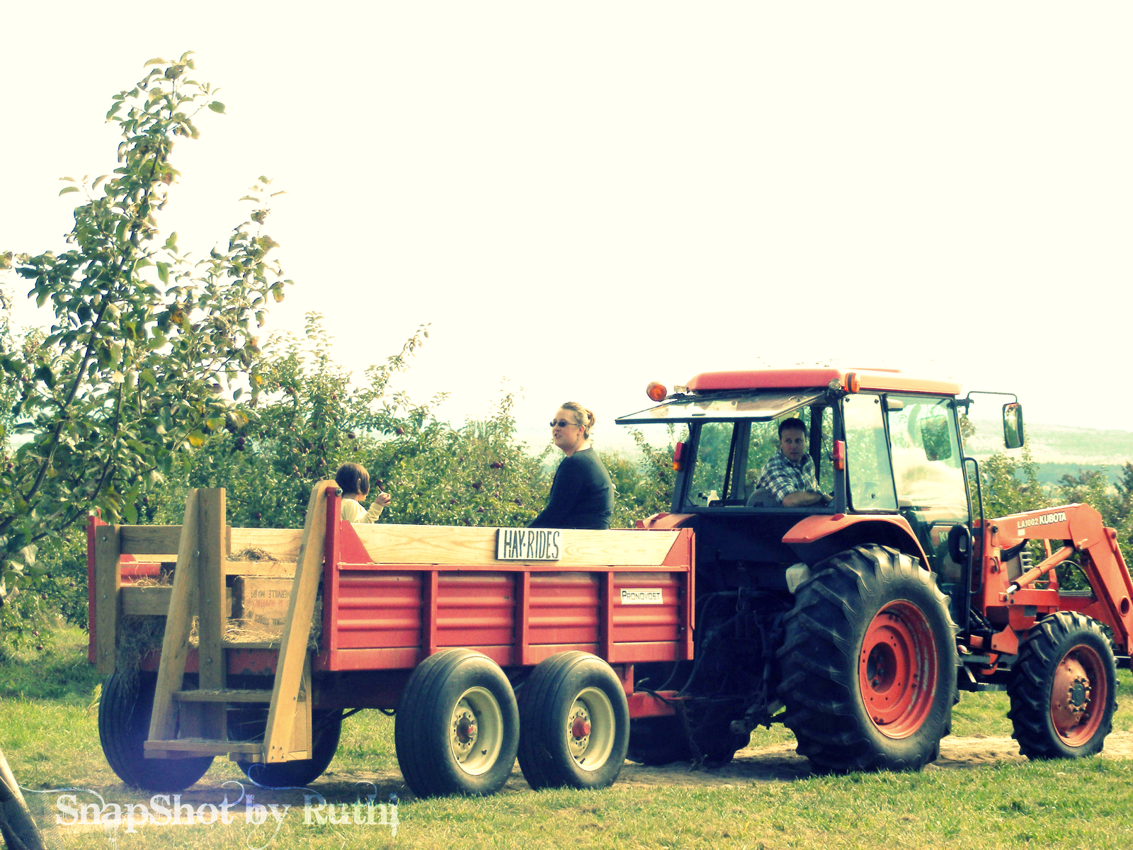 RuthinianGregoire: PYO Apple