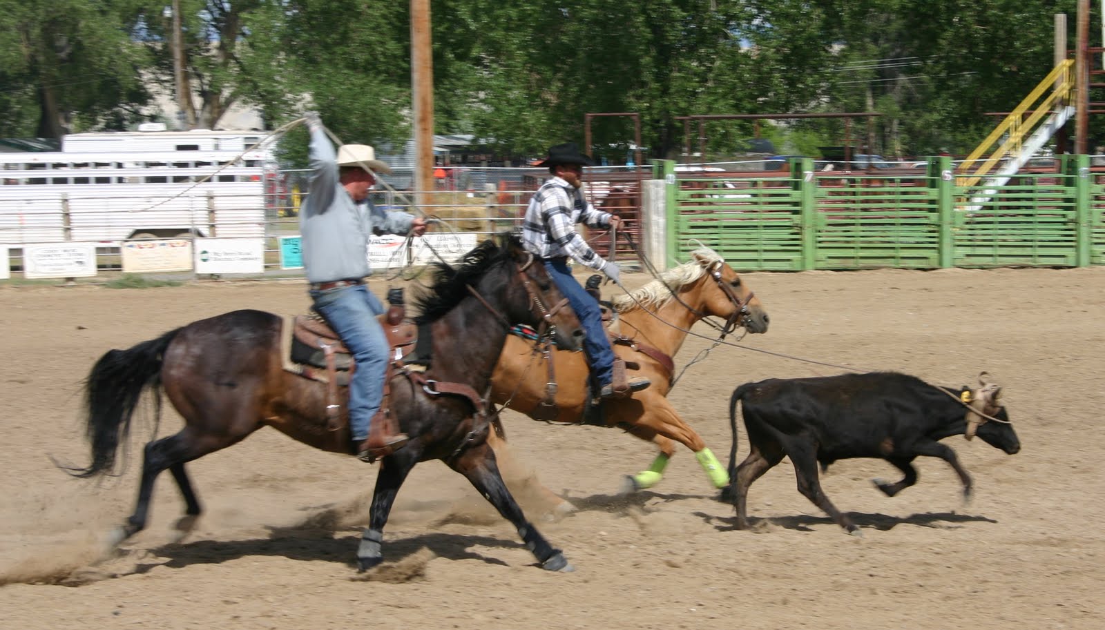 Never A Wrong Turn Ever Greybull And Basin Wyoming 8710