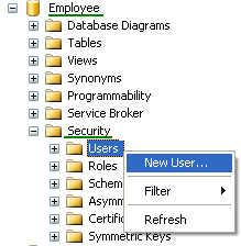 Microsoft SQL Server: SQL Server Security