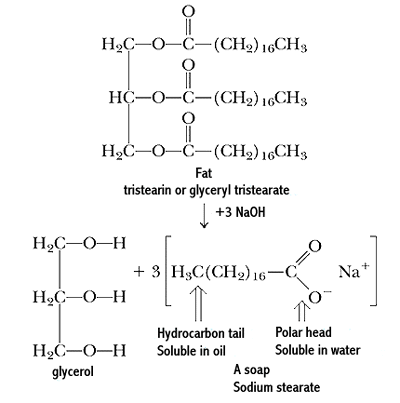 Visualizing Chemistry: Activity 3 1/13/11 What is Soap?