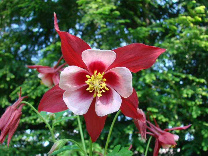 New Jersey Archives - The Grass Is Always Greener