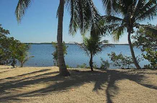 HISTORIC HOMES in FLORIDA: SHADOW POINT, KEY LARGO HOUSE BUILT IN 1917 ...