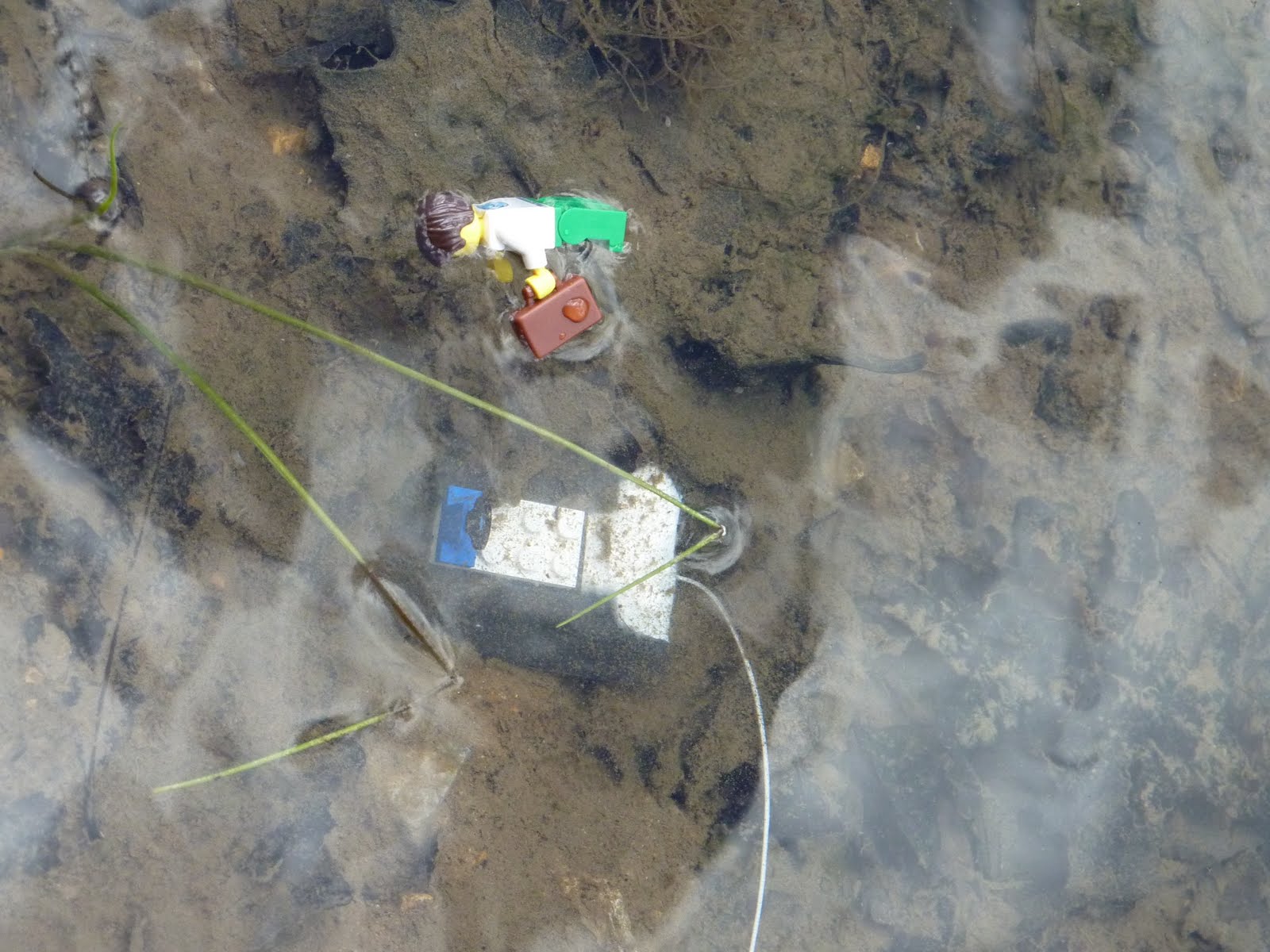 The Weekly Widget: Eon Ice Everlasting LED Card Flashlight