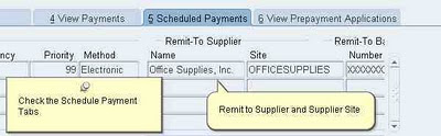 Bizinsight Consulting Blog: Third Party payments in R12.1 Oracle Payable