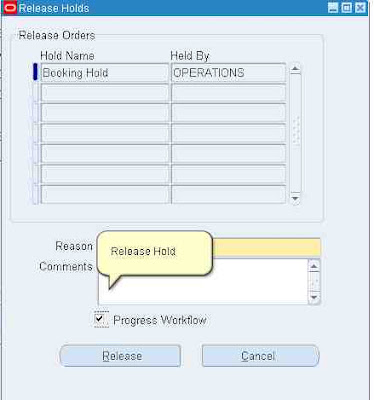 Bizinsight Consulting Blog: Progress Workflow on Hold Release - New ...
