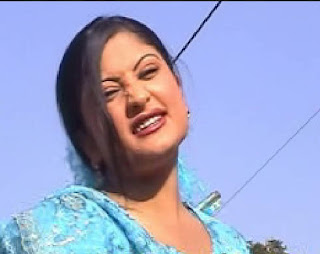 The Best Artis Collection: Salma Shah Pashto Actress New Mosaic Photos