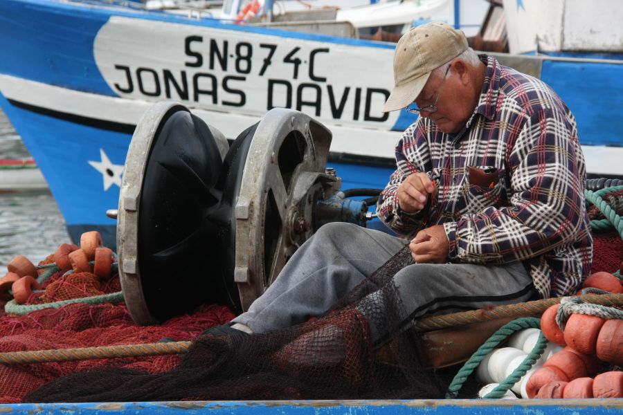 Eu e os meus botões!...: Manhã na "à lota" de Setúbal...