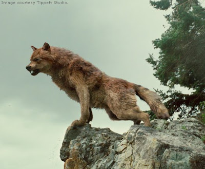 Fans Love Midnight Sun: New Moon’s CGI Wolves: The Rundown