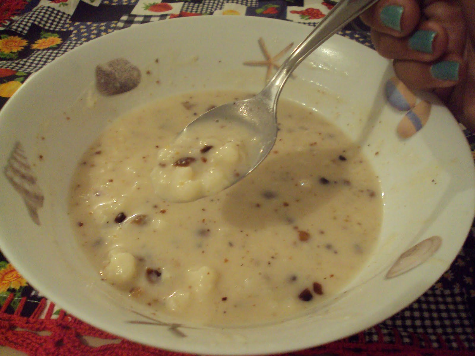 Cozinhando com a Elza