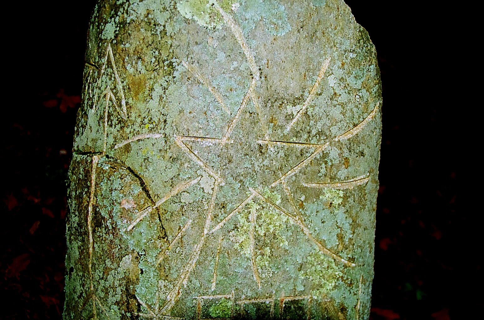 Wildman Walker's Blog: Kerry...On Death