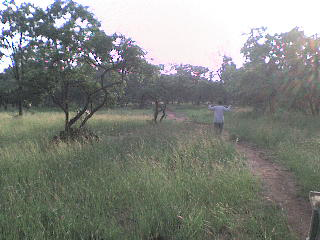 Srisailam photos: Photos of Kadali Vanam