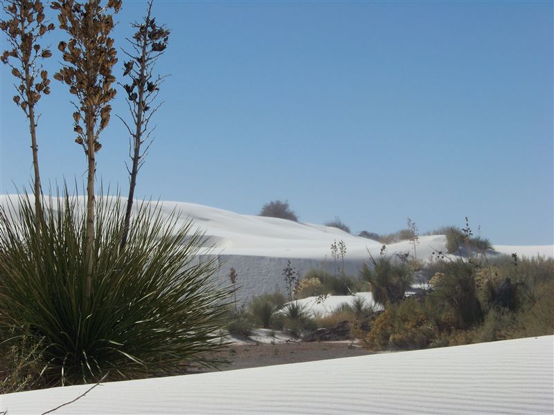 Retired and Lovin' It: NEW MEXICO - Space History Museum and White ...