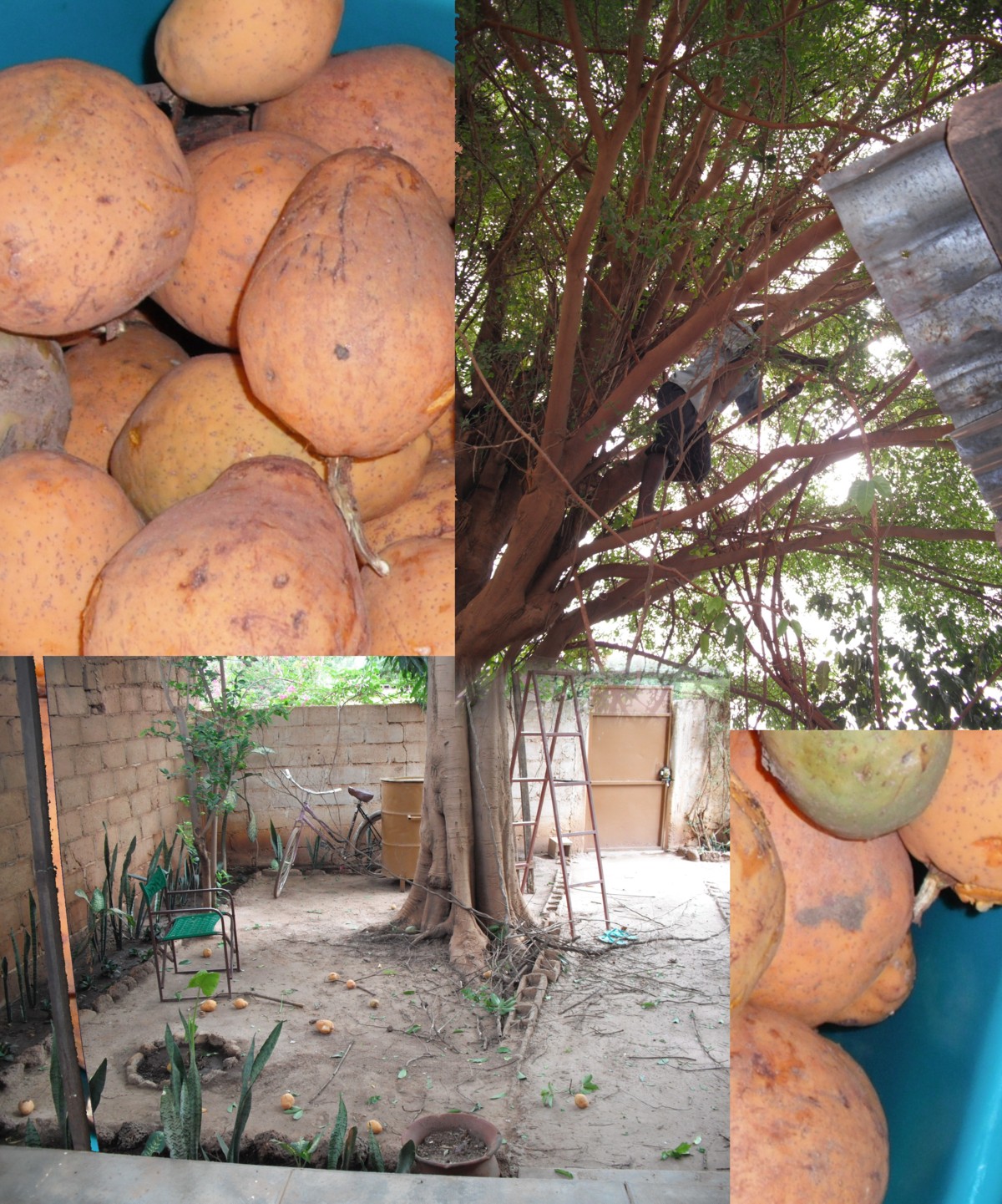 Pauline in Burkina: Weda