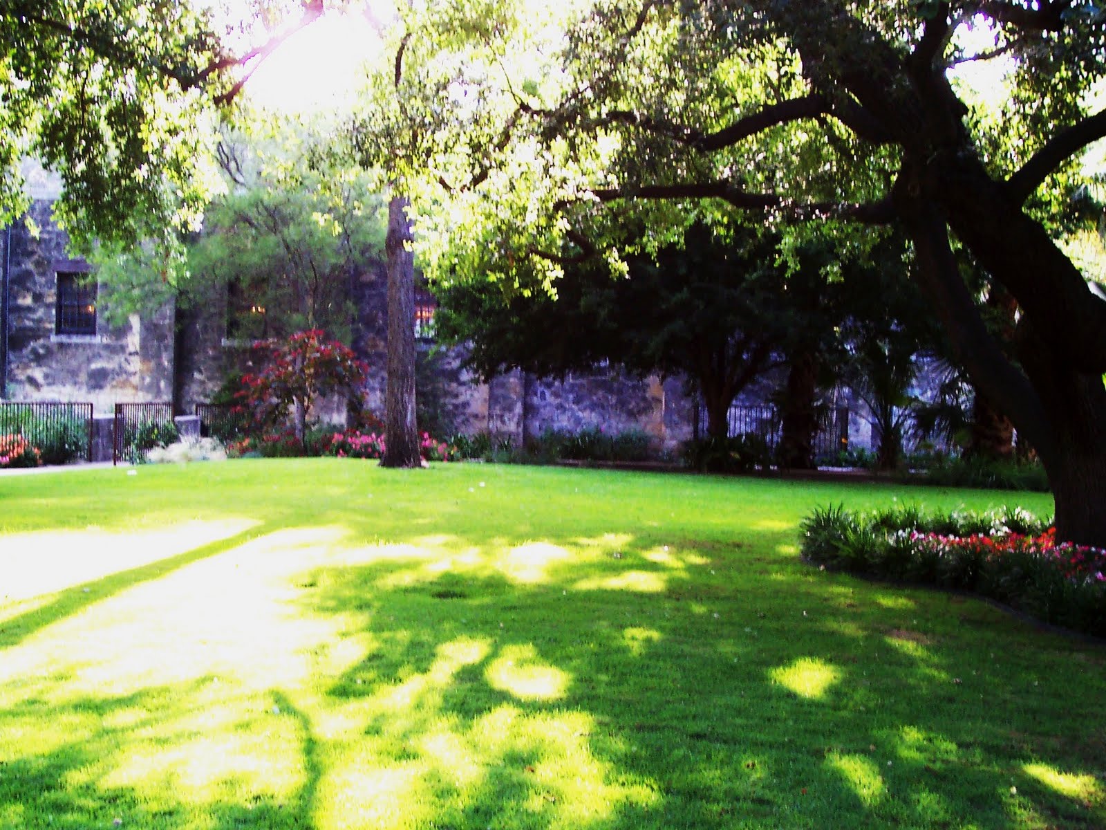 amanda goebel photography