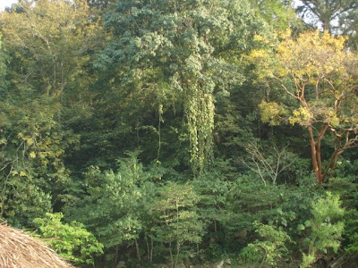 Huastecas Paraisos de Mexico: Tamazunchale