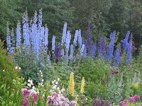 Northern Exposure Gardening: Plant List: Hardy Perennials for the North