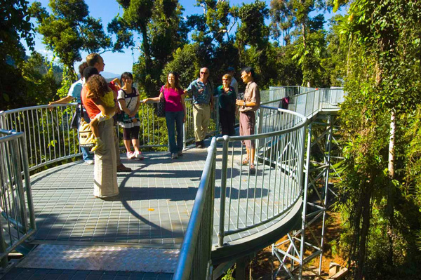 INDA DESIGN 3 STUDIO BLOG: Tree Walks