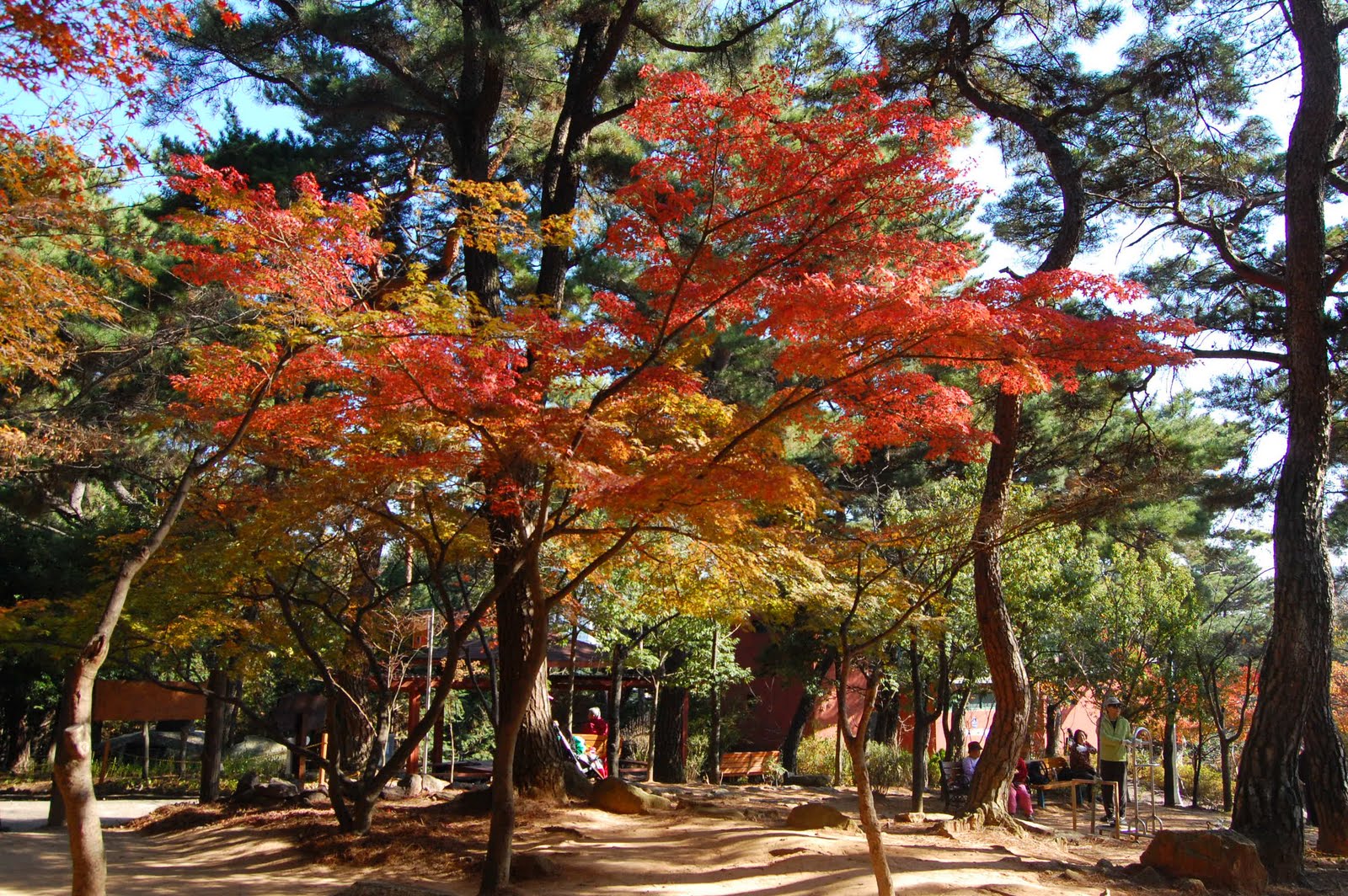 Travel Guide South Korea: Geumgang Park, Busan