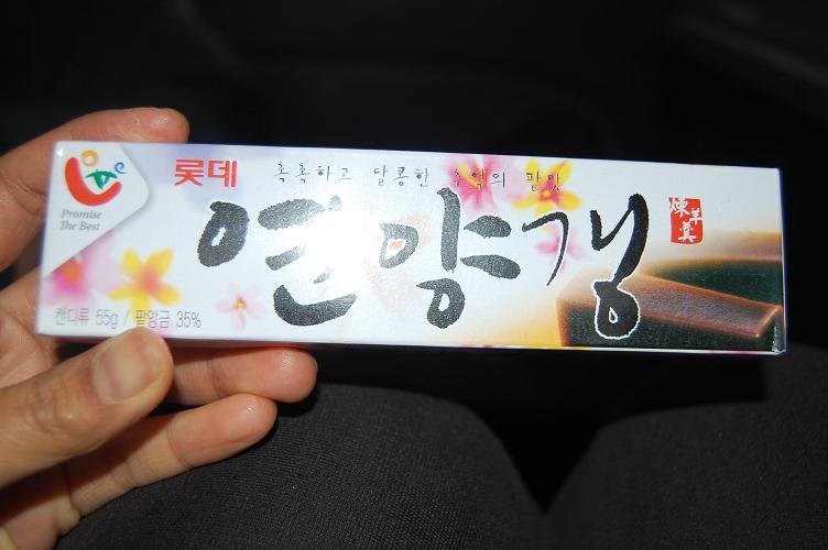 Travel Guide South Korea: Container house and Tulip