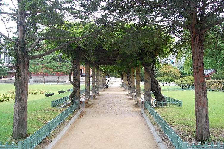 Travel Guide South Korea: Deoksu Palace @ Deoksugung