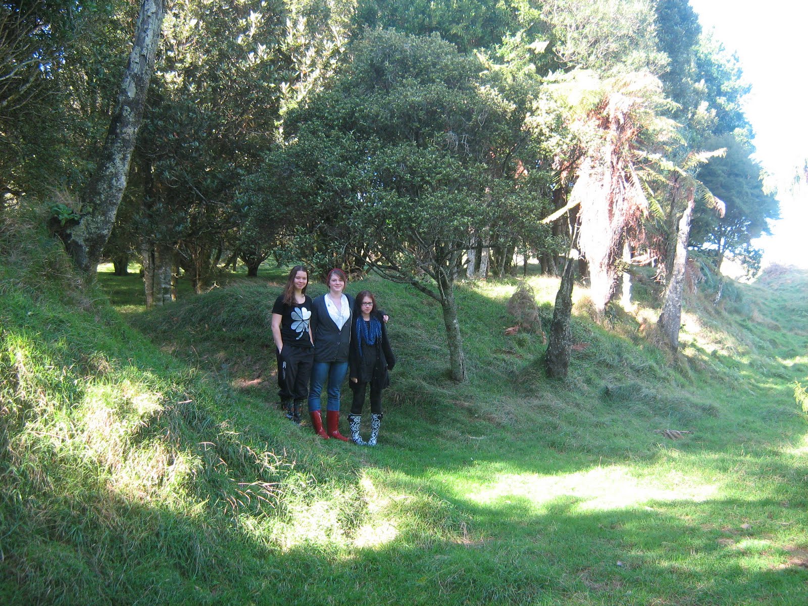 New Zealand History 1800 -1900: Taranaki 2010
