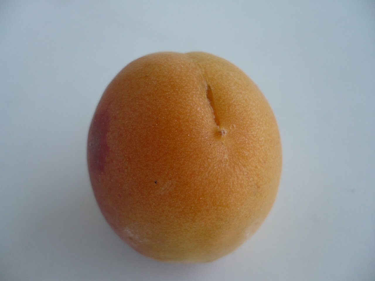 LES MERVEILLES DE DANIELLE: l'abricotier de mon immeuble... Récolte.