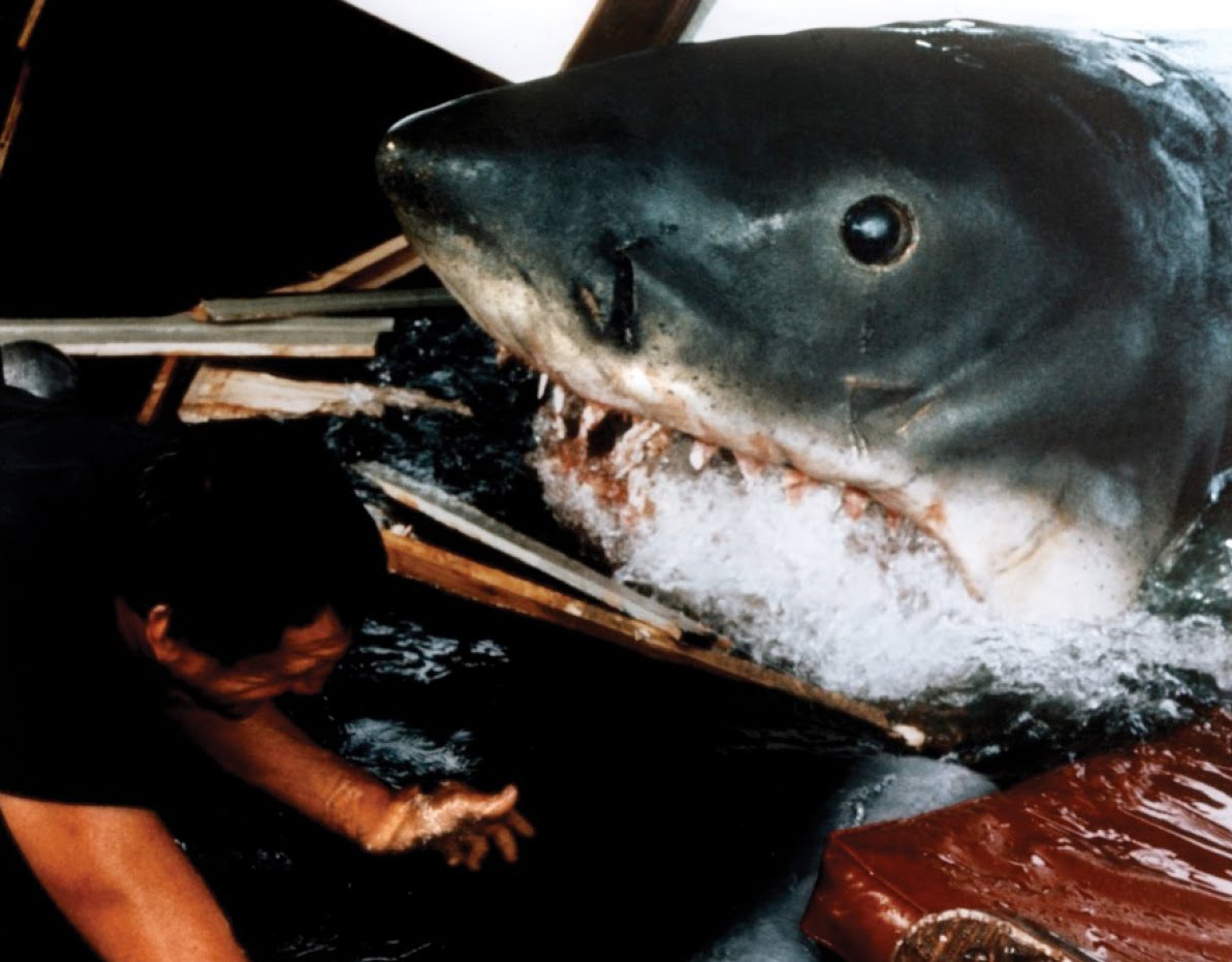 Movie Memorabilia Emporium: Jaws (1975) Promotional photos - High ...