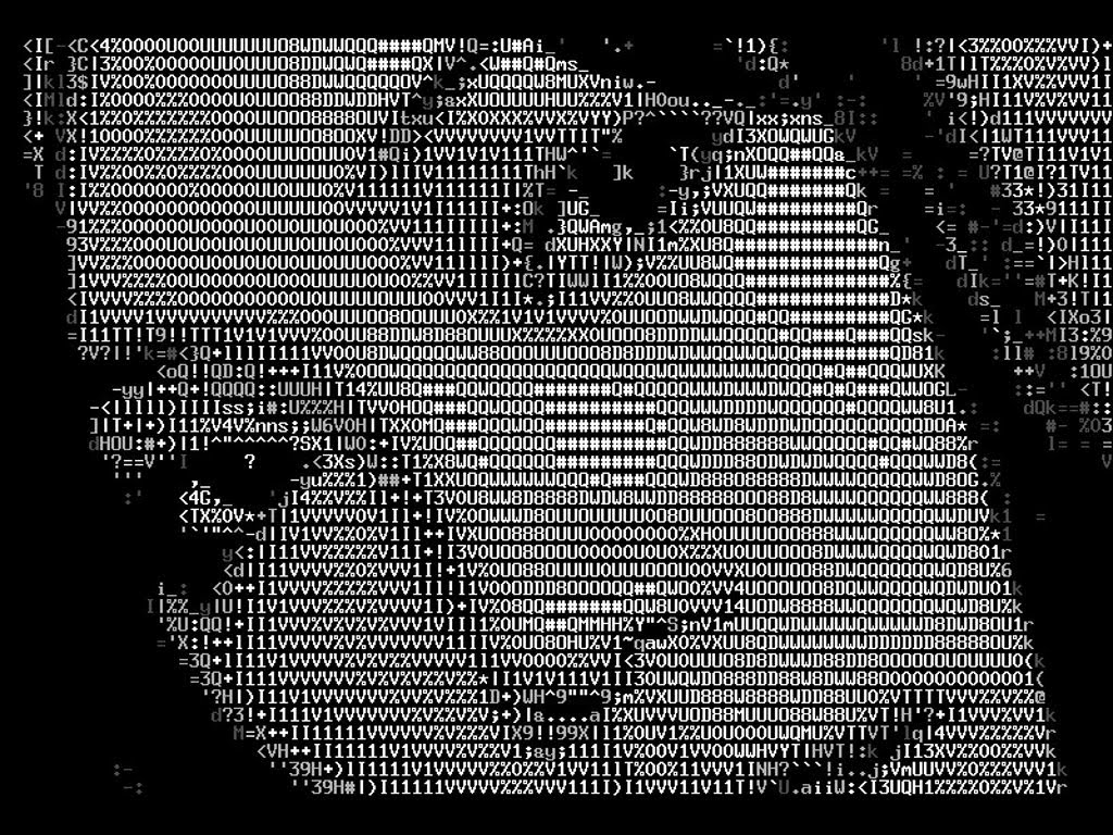 wardcraft.blogspot ( fud ): 1024x768 ascii wallpaper fem-azn