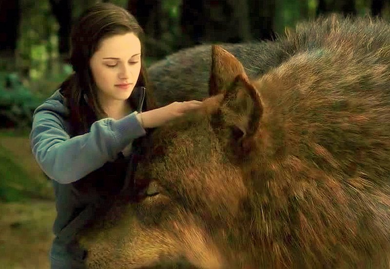 Screencaps de Jacob en Forma de Lobo con Bella « Diario Twilight