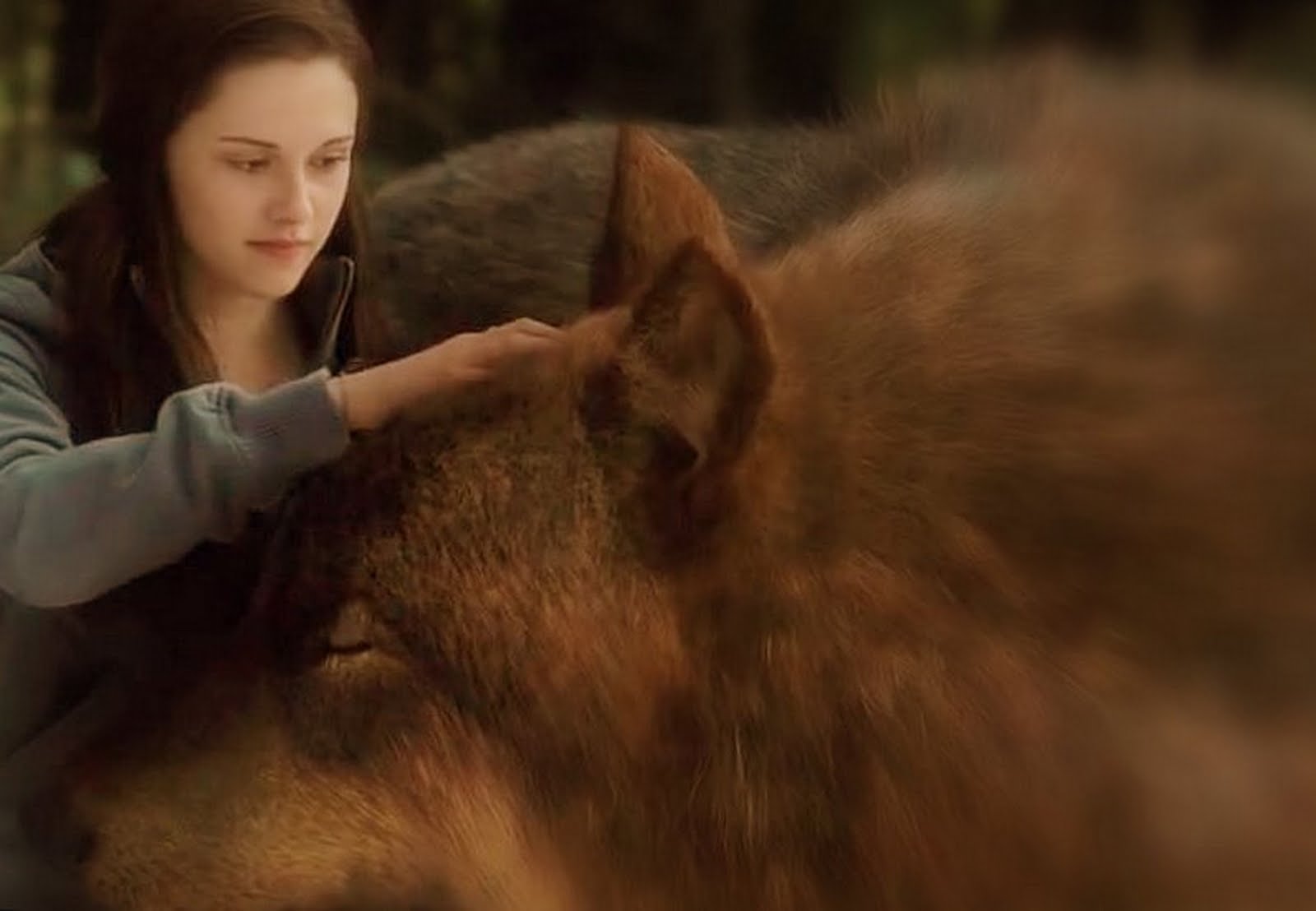 Screencaps de Jacob en Forma de Lobo con Bella « Diario Twilight