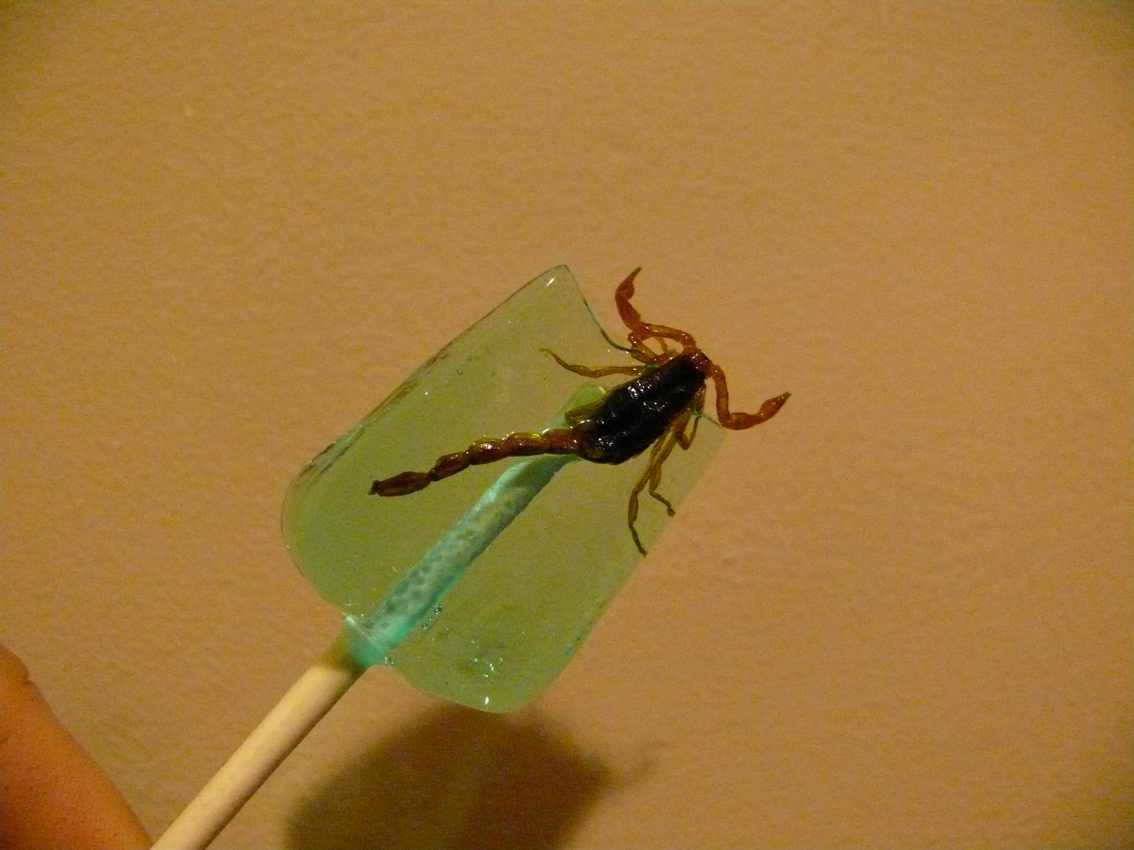 Dougintology: Scorpion candy